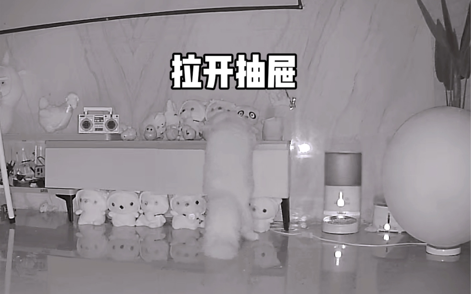所以憨憨的憨 是装出来的?