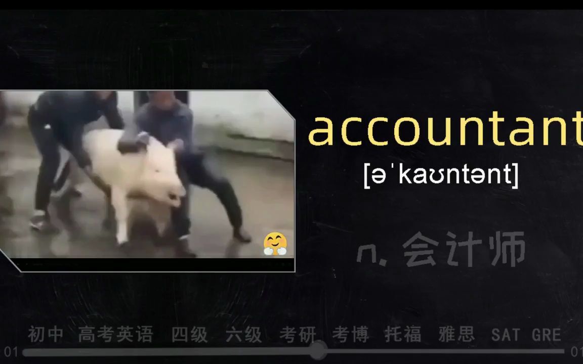 「一个电影单词」猪怕过冬,财务怕年终 accountant