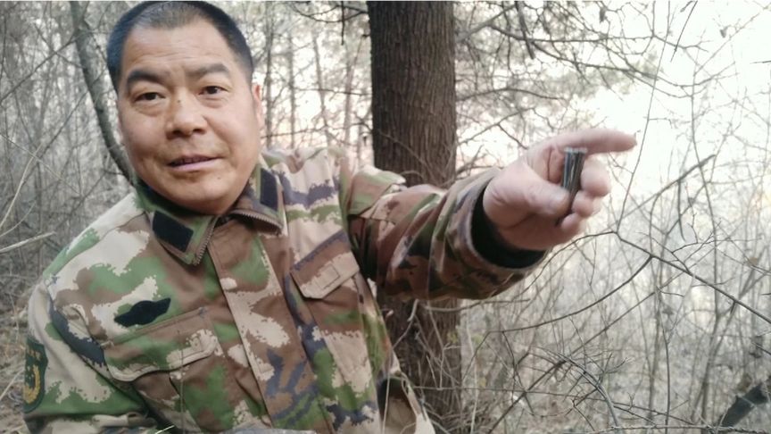 这种保护树木的方法,大家认为可行吗?