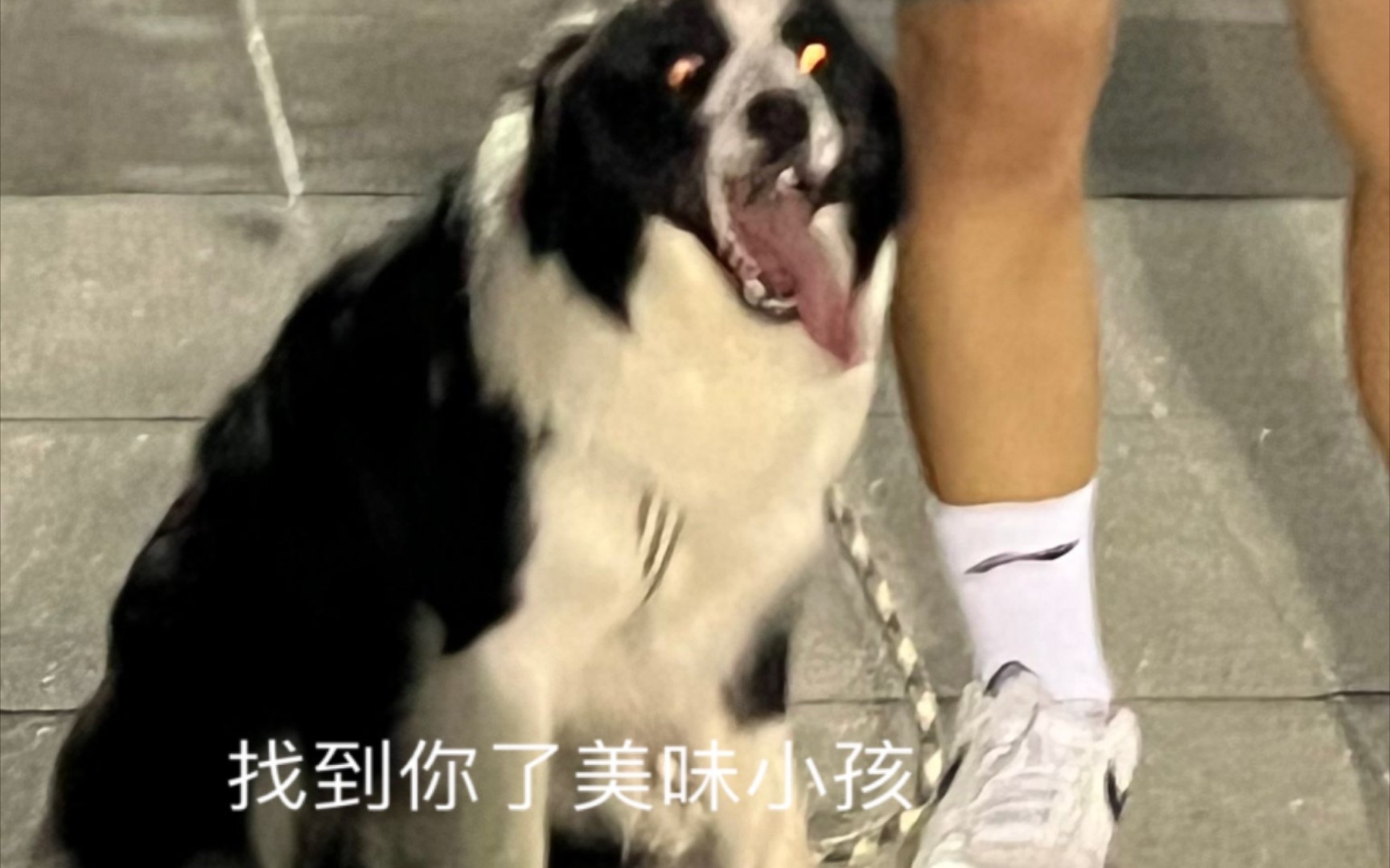 phigros:数位板(手写板)的妙用()