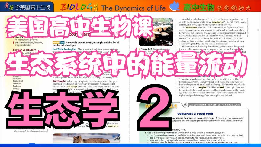 生态学2 生态系统中的能量流动 常荣学美国高中生物课 Biology