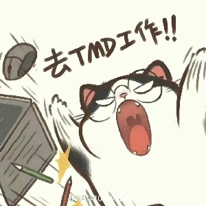 作者开朗 
