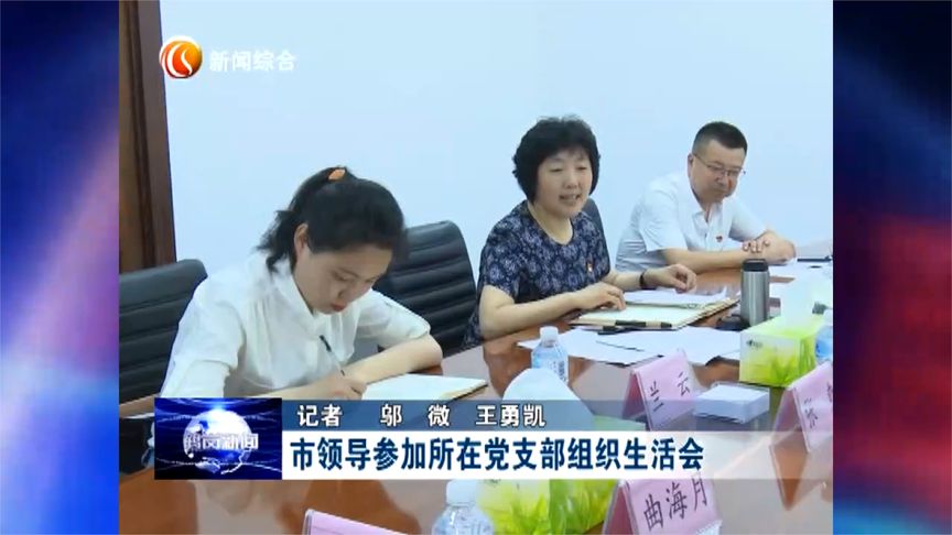 市领导参加所在党支部组织生活会
