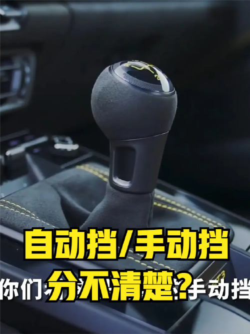 现在的网友已经退化到分不清自动挡和手动挡了吗?