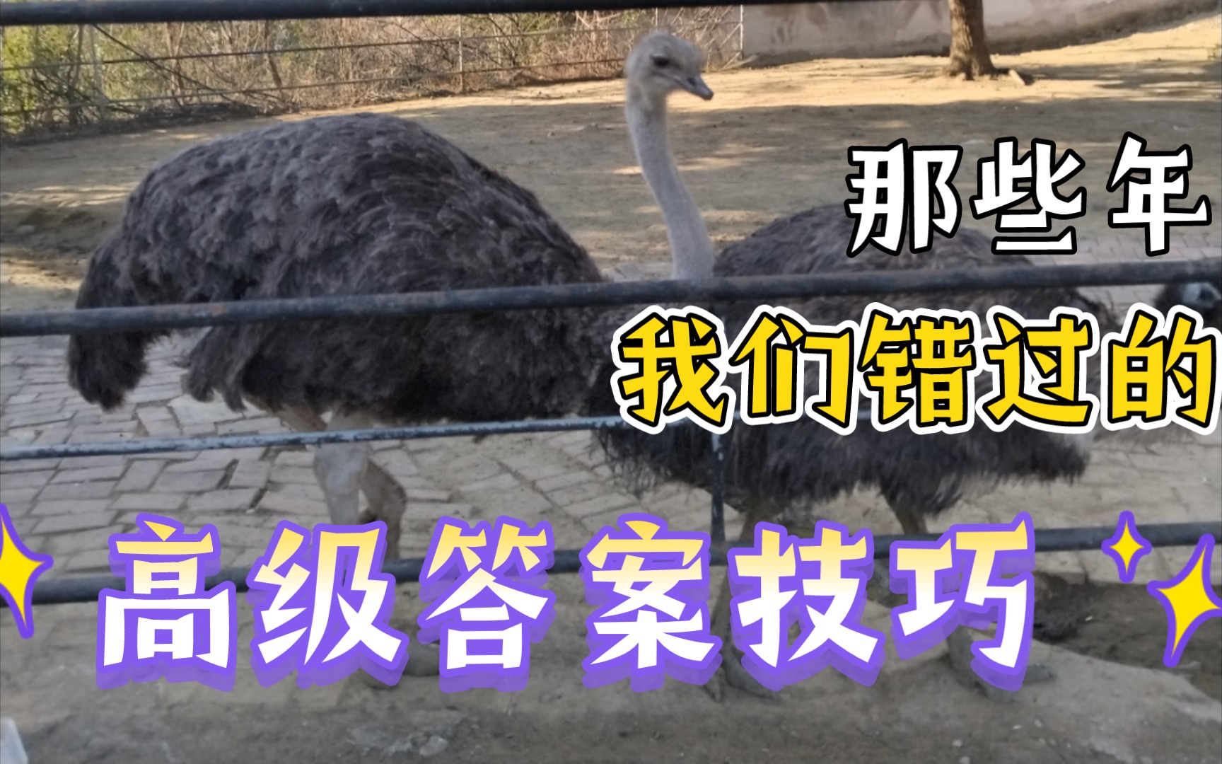 一分钟学会辨别《表达技巧》《表达方式》《表现手法》