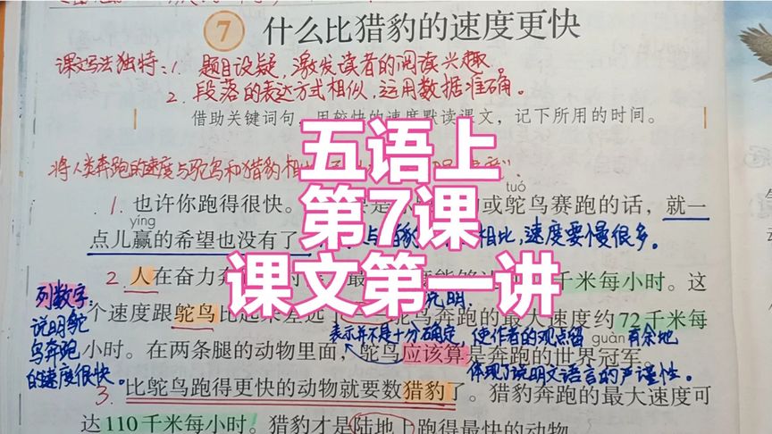 五语上:7《什么比猎豹的速度更快》课文讲解,第一讲
