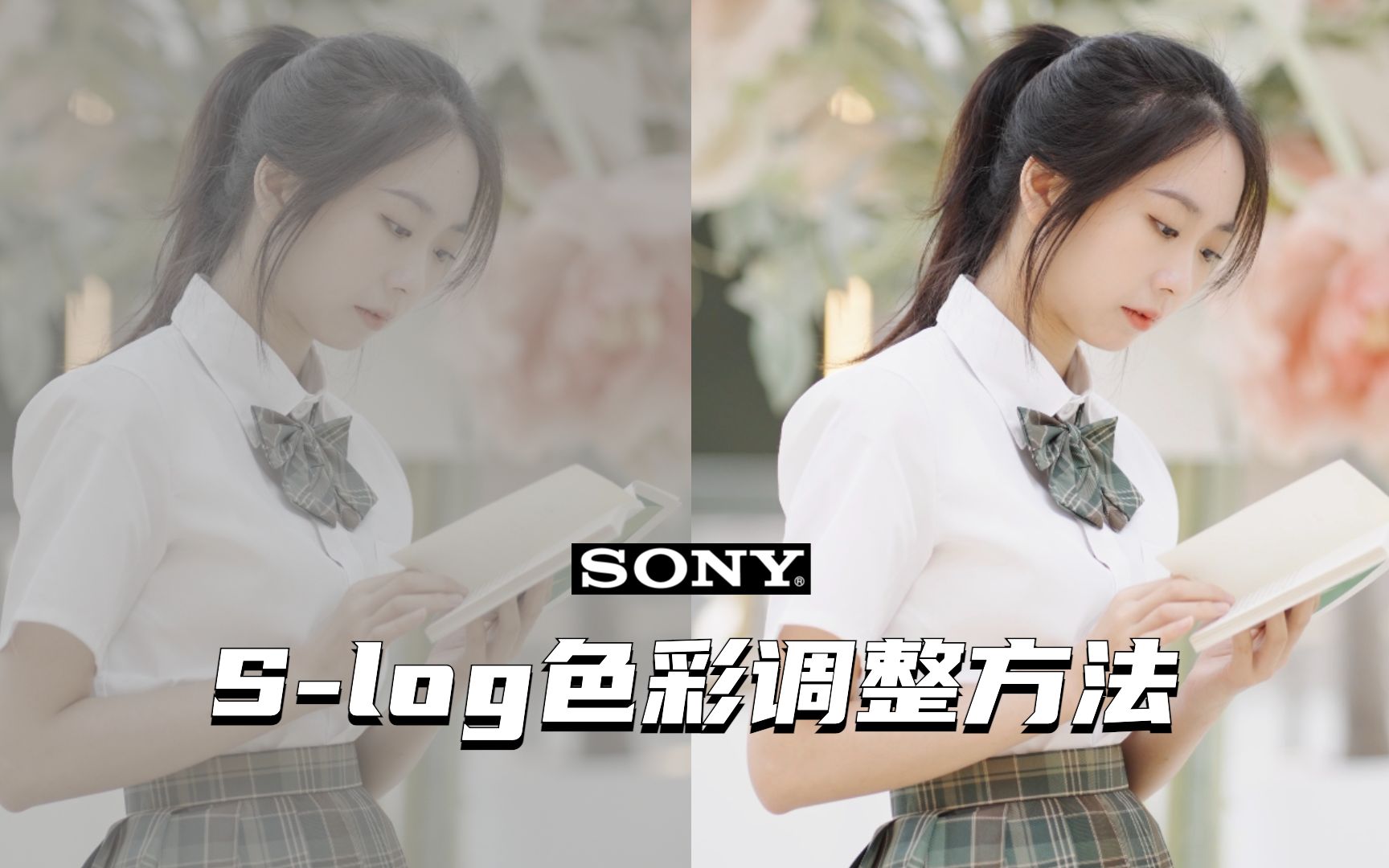 【御成索尼】Sony机身Slog使用指南02:色彩调整思路
