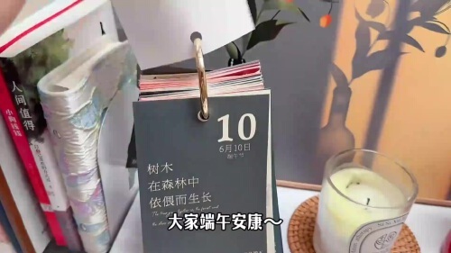 3117. 小学生端午假期vlog,丰富多彩的假期安排!