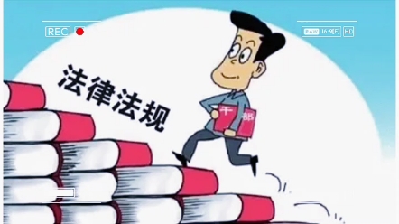 学法,用法,懂法#校园新星来普法