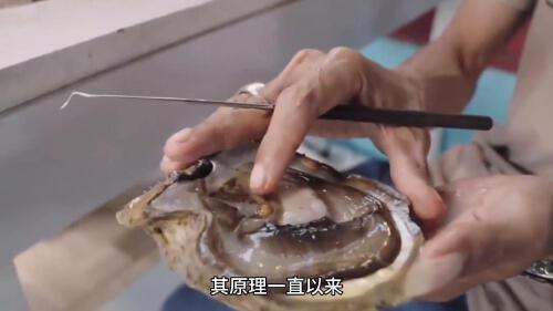 为什么蚌能产出珍珠?