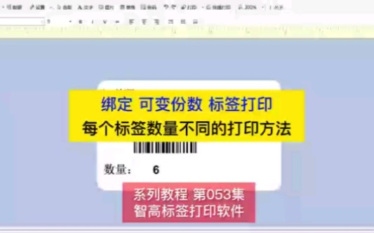 批量打印可变数量的标签。每个标签数量不同,由数据指定。#绑定标签...