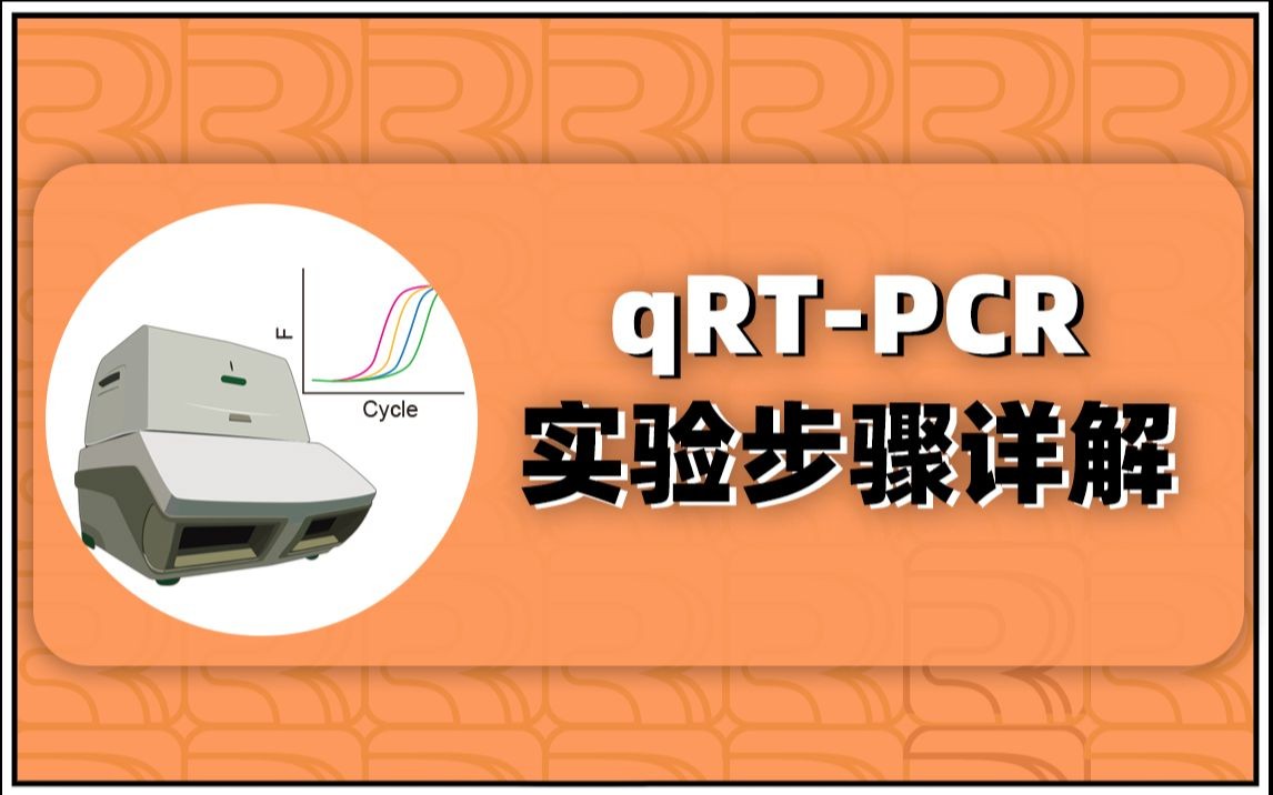 分子检测合集(4):QPCR 中篇 实验步骤及结果分析