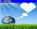 选修6-4-1森林及其保护