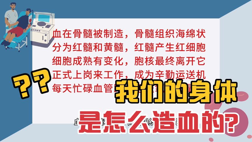 【有趣的科普】我们的身体是怎么造血的?