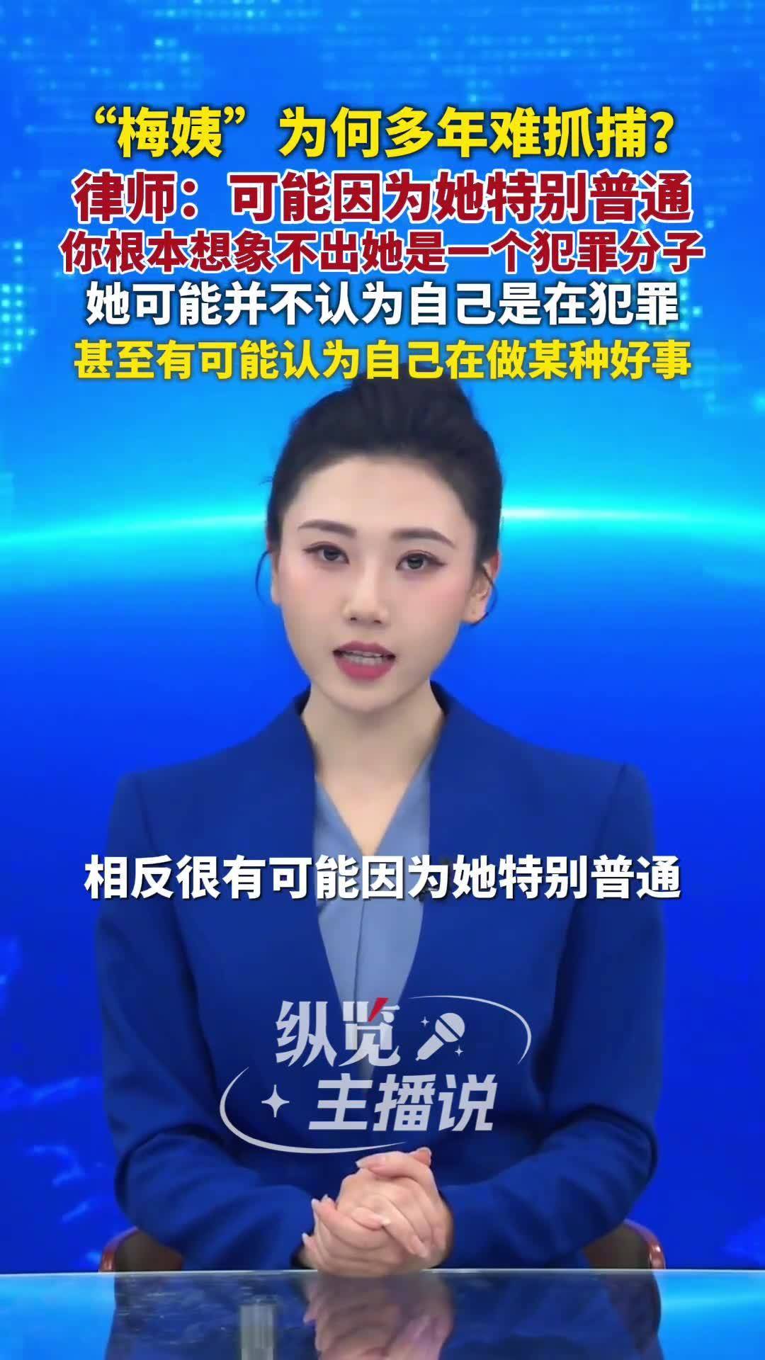 "梅姨"为何多年难抓捕? 律师:可能因为她特别普通