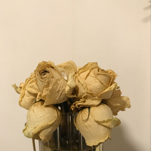 小鸿老师讲语文 