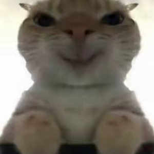 一只牢菌 