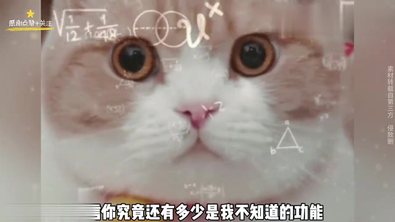 微信竟然有这么多隐藏功能