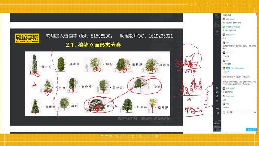 【园林景观】植物形态分类及立面应用