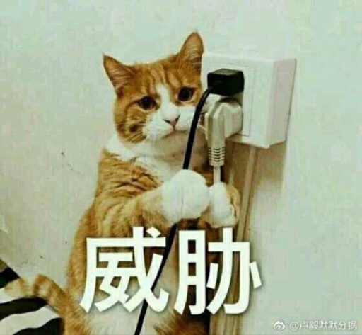 猫骑毛驴喵你 