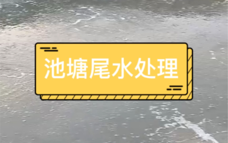 #池塘养殖尾水处理模式:“三池两坝”模式:一般由生态沟渠、沉淀池、...
