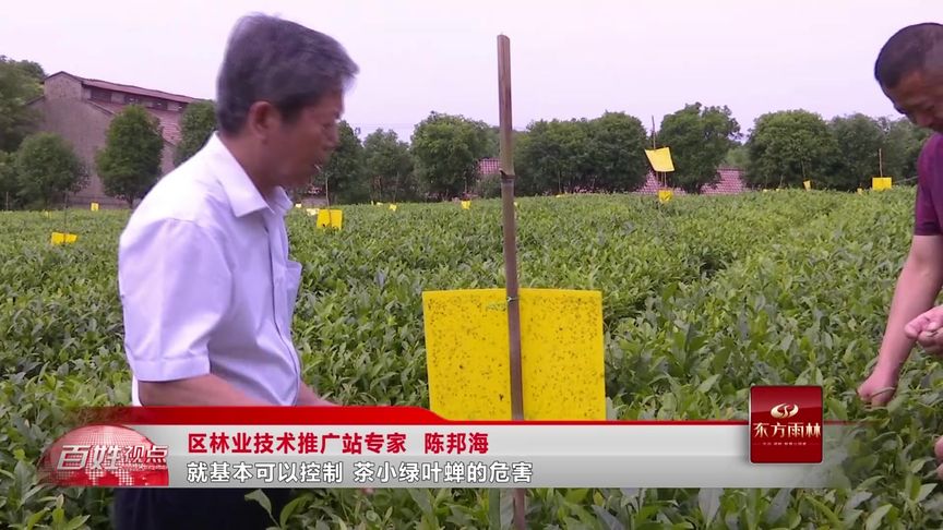 林业专家打包服务送上门,果茶管理莫等闲,都来学两招吧!