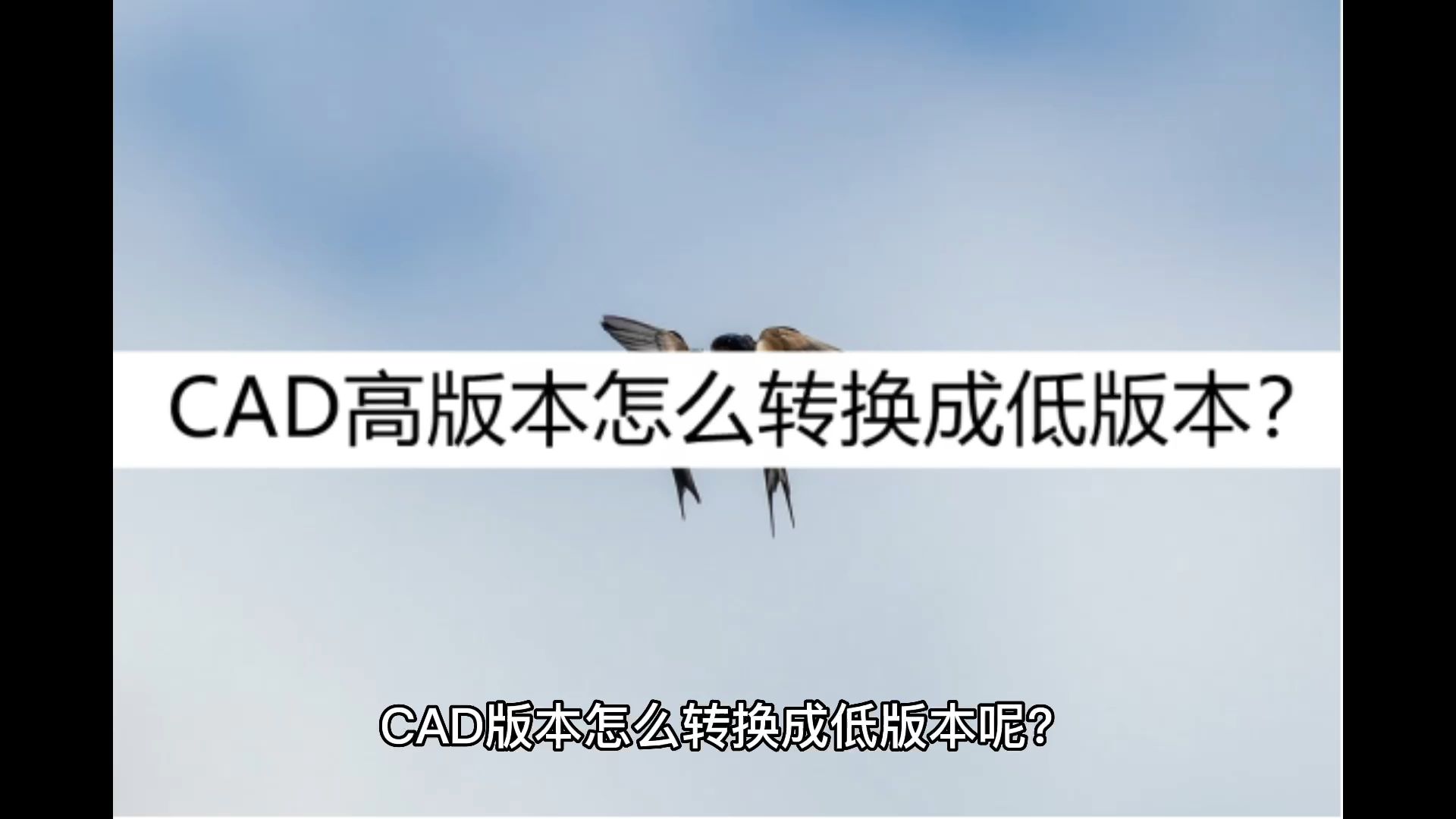 怎么将CAD高版本转换成低版本?推荐这个方法