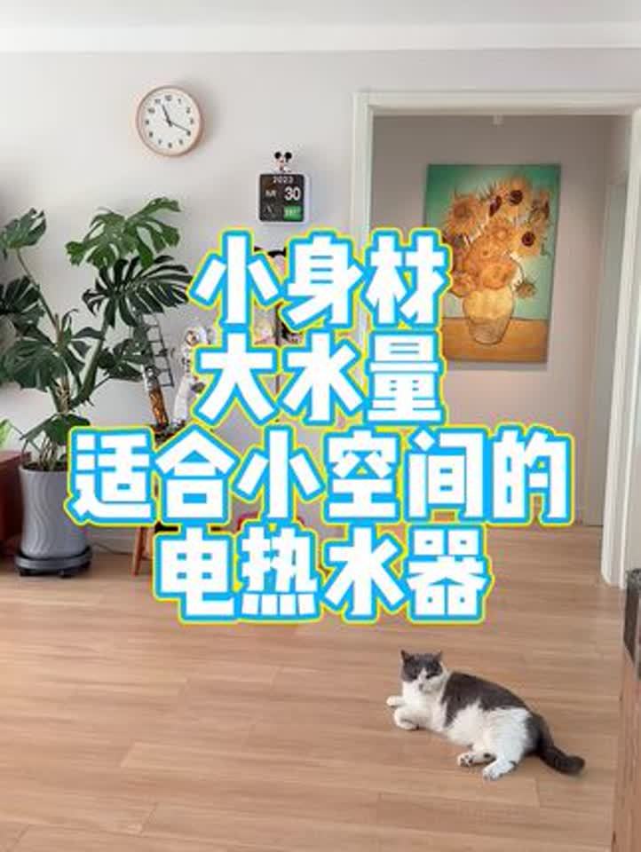 ...小身材大水量的热水器,洗个痛快澡#美的玲珑热水器 #电热水器越小...