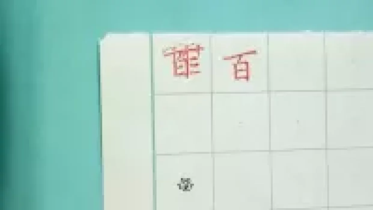 书法大师讲楷书,每日一字练习,百字的写法
