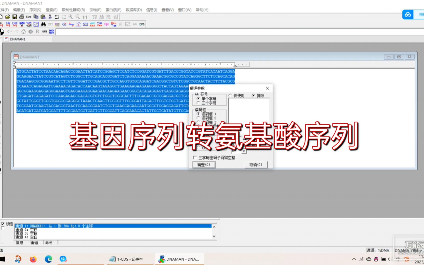 基因序列转氨基酸序列|DNAMAN