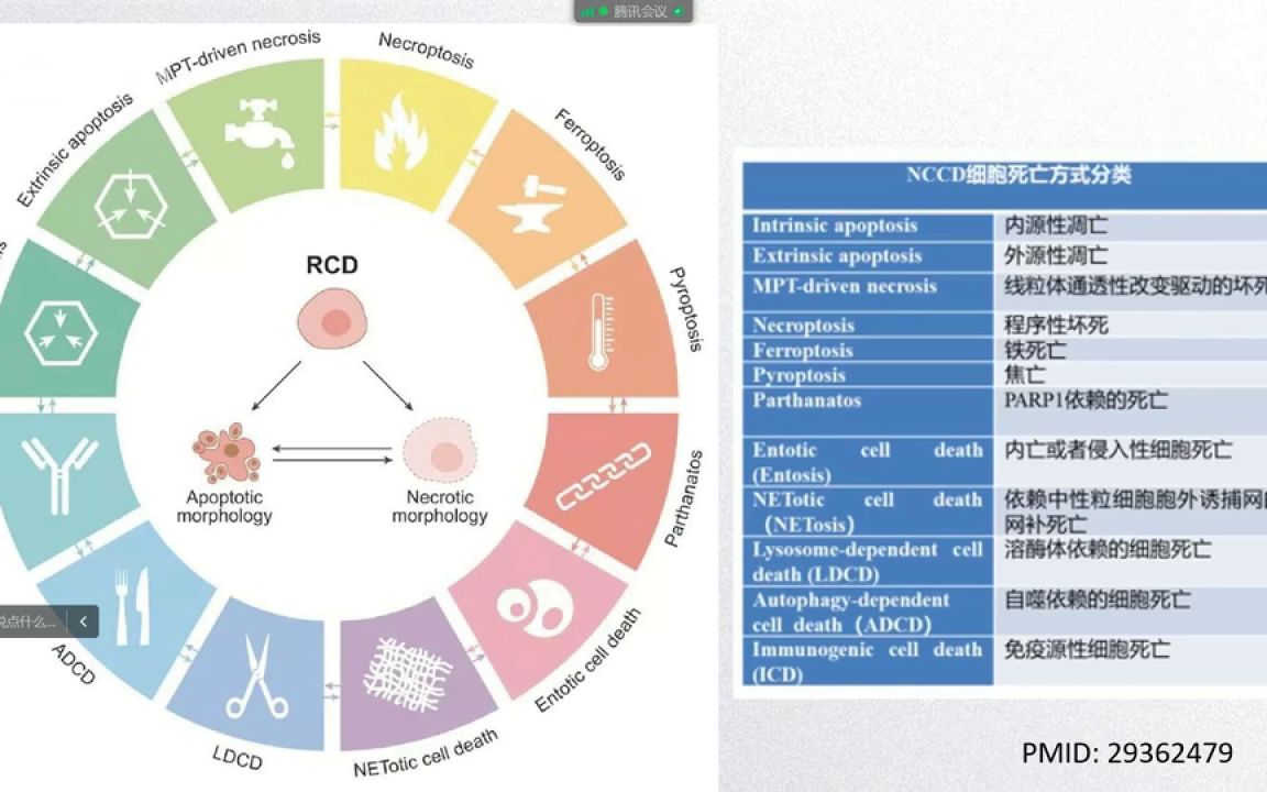 手绘”实用神经影像教程医学会员免费学