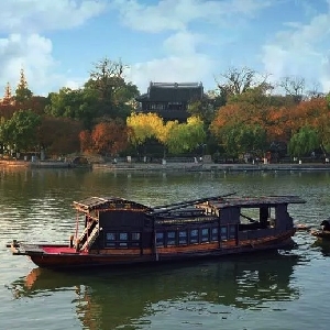 菁菁者莪12 
