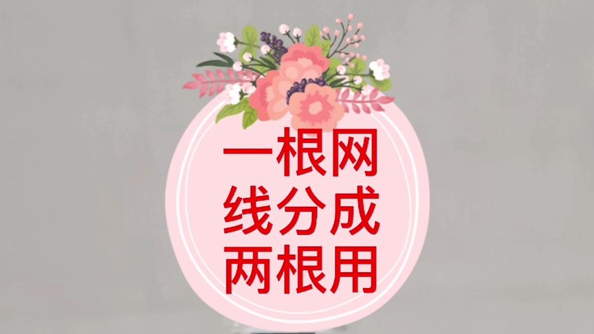 一根网线可以分成两根用,分别接机顶盒和路由器