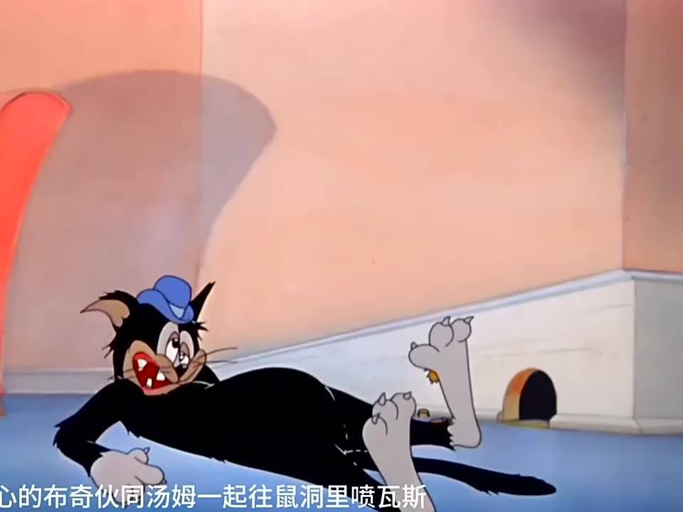 猫和老鼠汤姆 汤姆和杰瑞 动漫