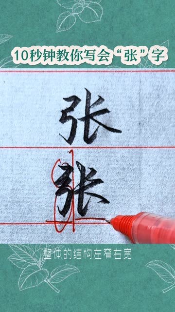 10秒钟教你写会"张"字 #2024高考 #练字