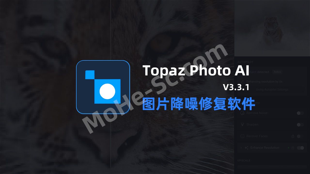 Topaz Photo AI v3.3.1 Stable Portable 智能图片降噪软件 AI填充、AI扩...