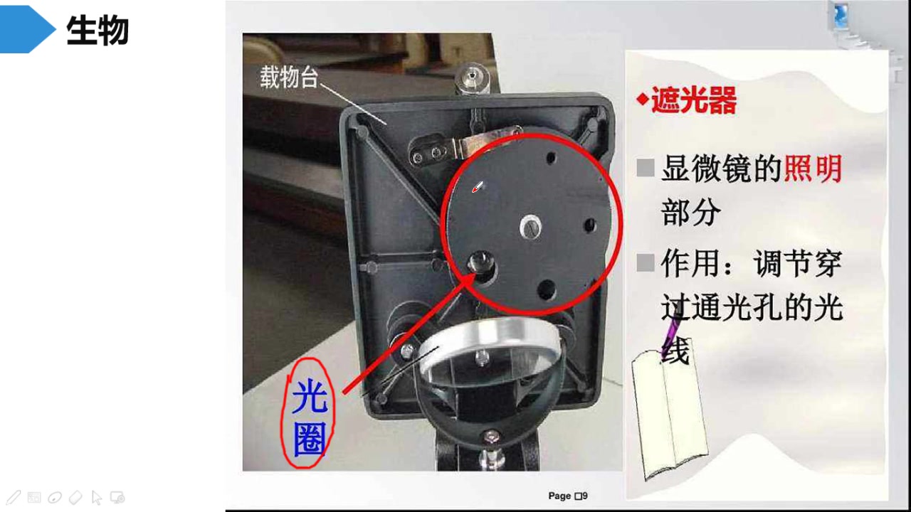 2.1细胞是生命活动的基本单位(1)