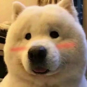 呼啦啦呼呼呀 