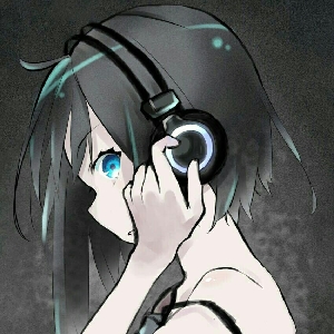 极向暗轮 