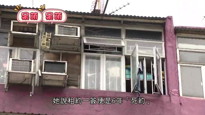 香港包租婆:我有200多间劏房出租,一个月收租都收入30多万元