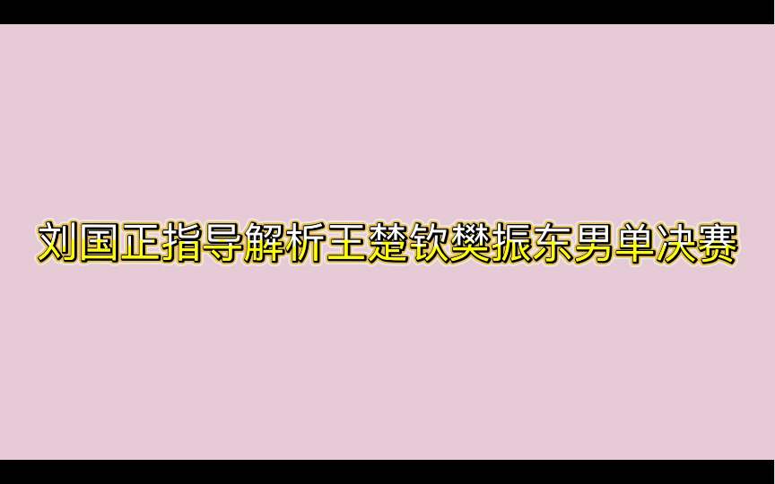 刘国正解析王楚钦樊振东男单决赛