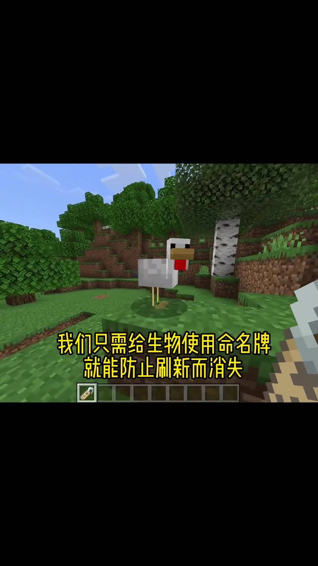 我的世界,可以让羊不断变色的命名牌,你见过吗?