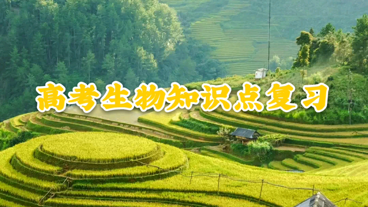 高考生物生命系统的结构层次知识点复习