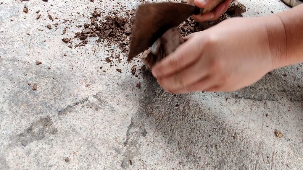 土的密度含水率实践