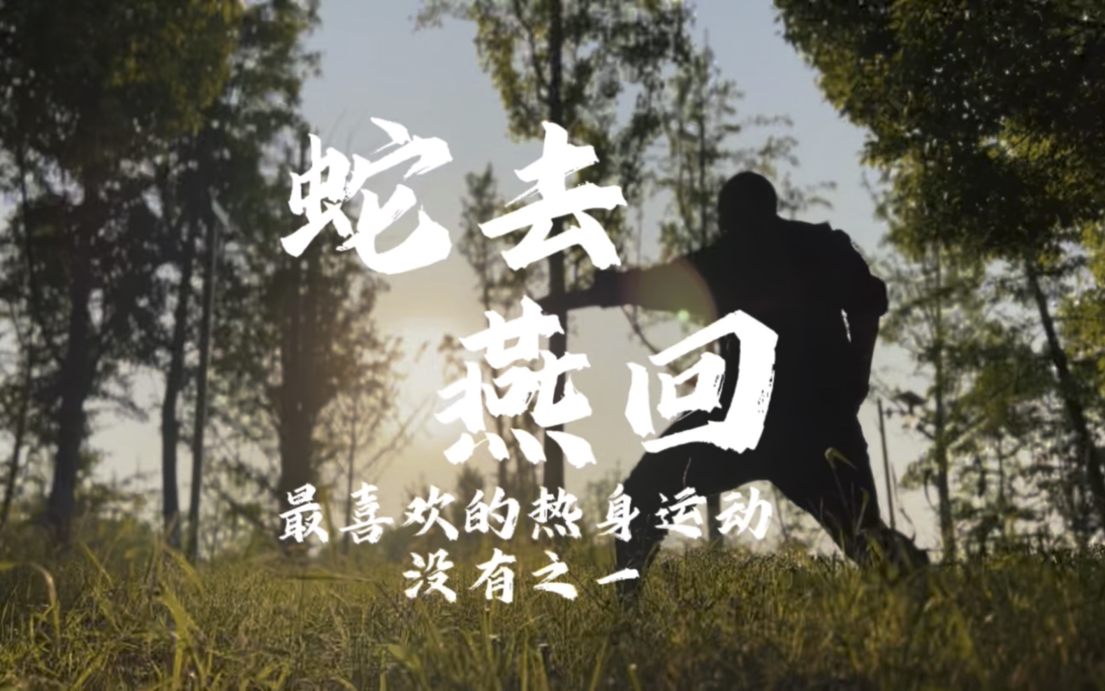分享最喜欢的热身及拉伸动作,形意十二形燕和蛇