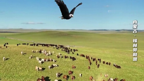 带着微博去旅行,开启精彩之旅