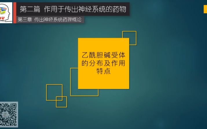 “药好记”药理学 第4讲-乙酰胆碱受体的分布及作用特点