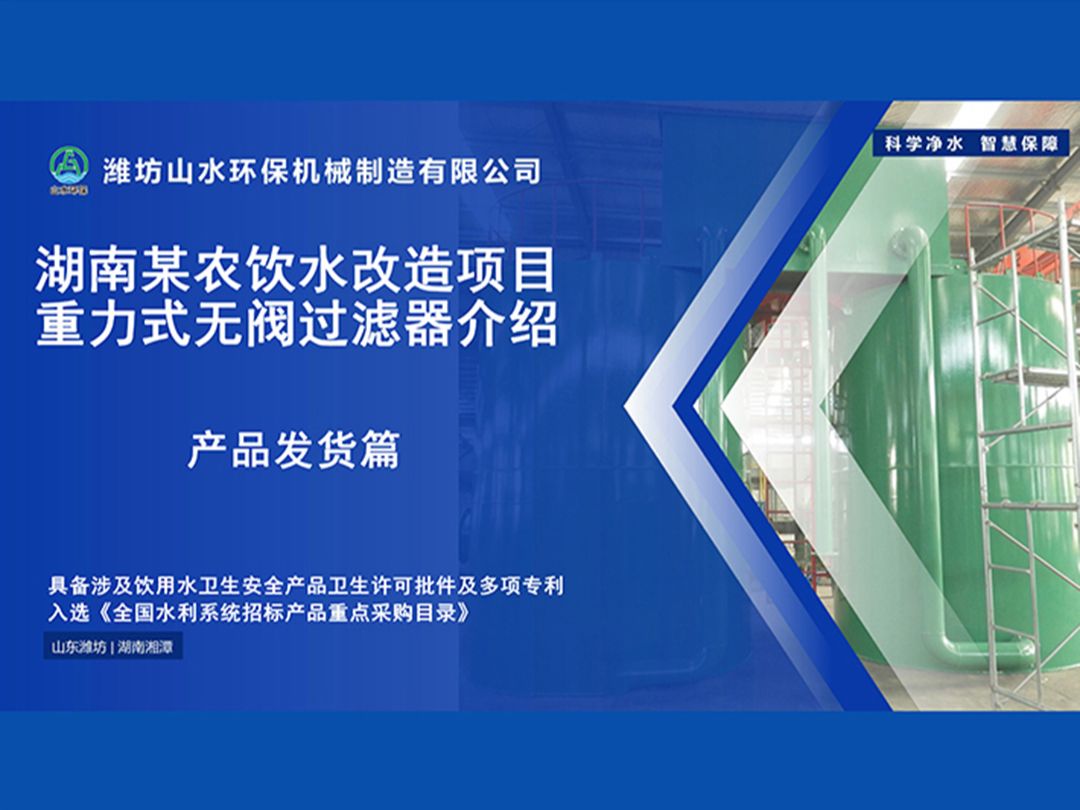 ...河水自动反洗保障农村饮用水安全出水达标水厂一体化净水器生产厂家