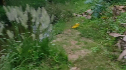 史上最逼真的游戏演示DEMO 游戏的结局绝对没人能想到