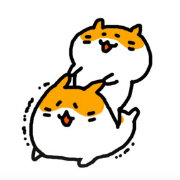 Roirin 